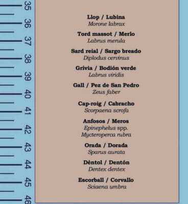 Species-and-minimum-sizes-illesbalears - Balearic Fishing Licence